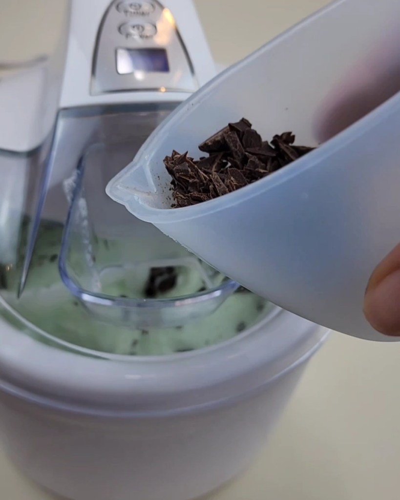 Mint Chocolate Chip Ice Cream – Chew Out Loud (Video) – Imapampchef